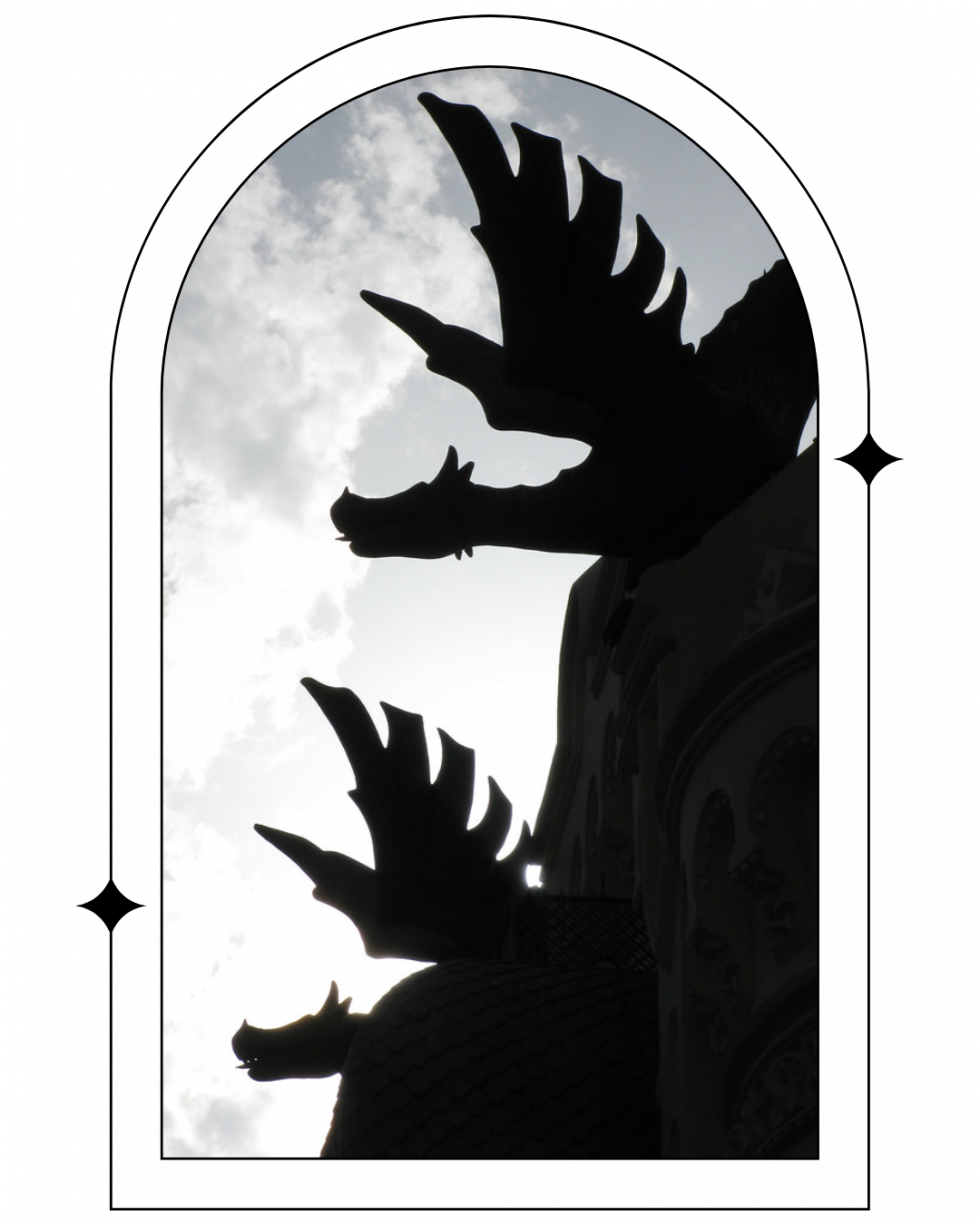 DRAGON RIDERS - Mastermind Eventos